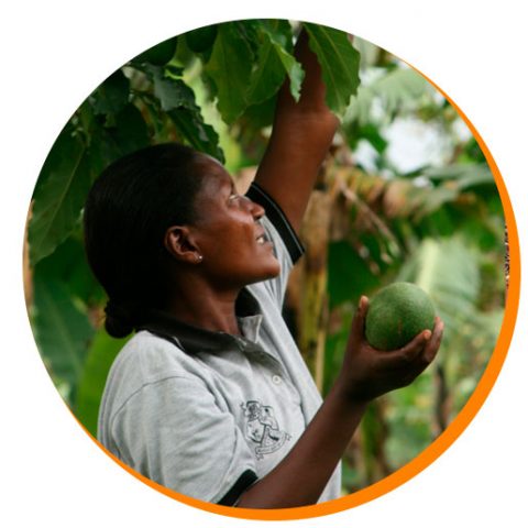 Grow trees with Trees For Global Benefits, Uganda - Reforestation project