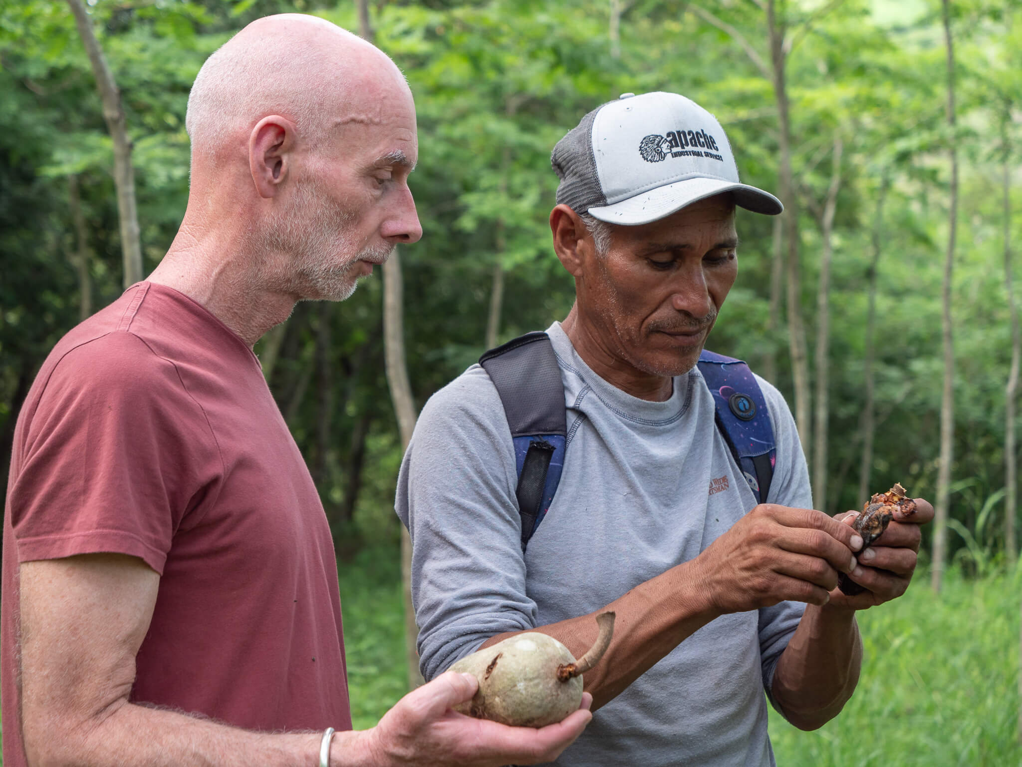 C LEVEL COMMUNITREE PROJECT VISIT 2023 - C Level - Nature Based Solutions