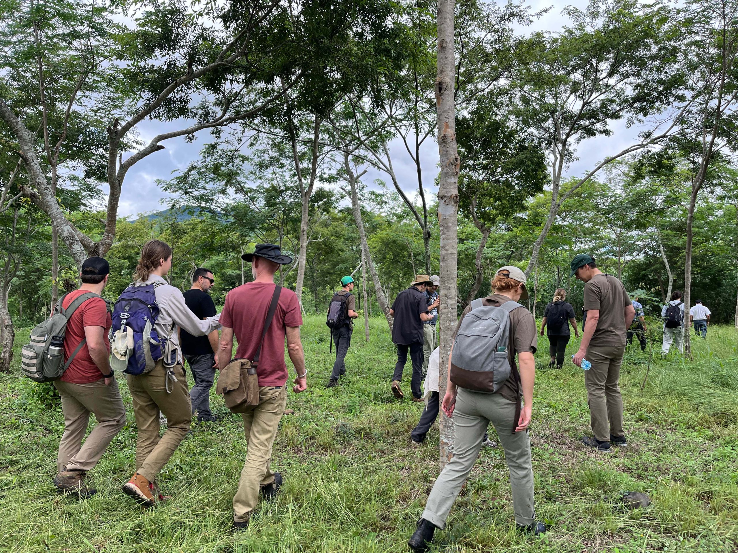 C LEVEL COMMUNITREE PROJECT VISIT 2023 - C Level - Nature Based Solutions